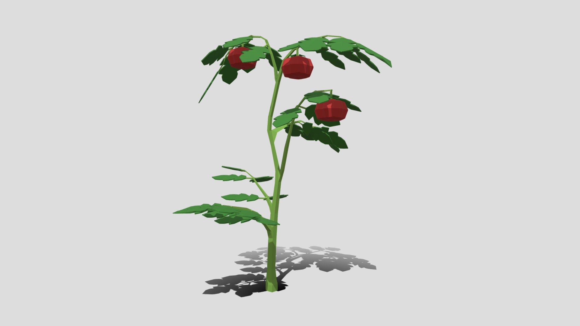 Tomato Crop Mesh - 3D model by Sarah Salvato (@sarahsalvato) [49dae94 ...