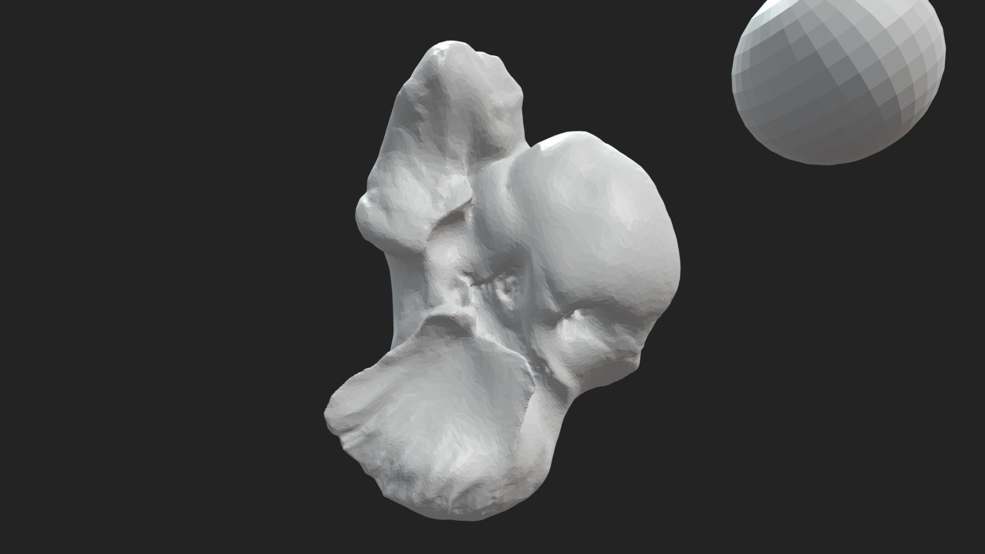 Lagenorhynchus australis_USNM395347_pe - 3D model by Gunma Museum of ...