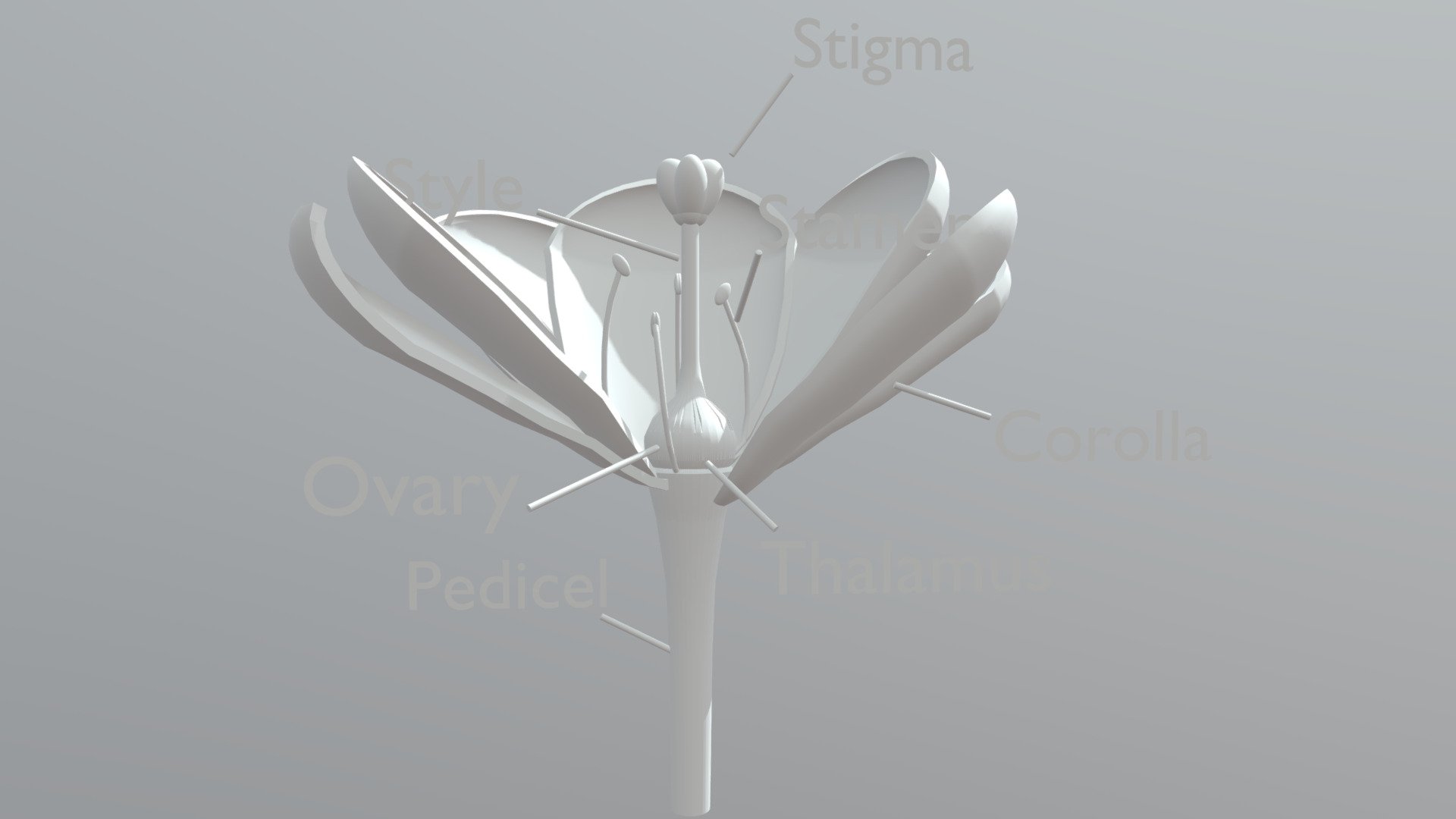 Flower Scene - 3D model by lukequezada [49de38e] - Sketchfab