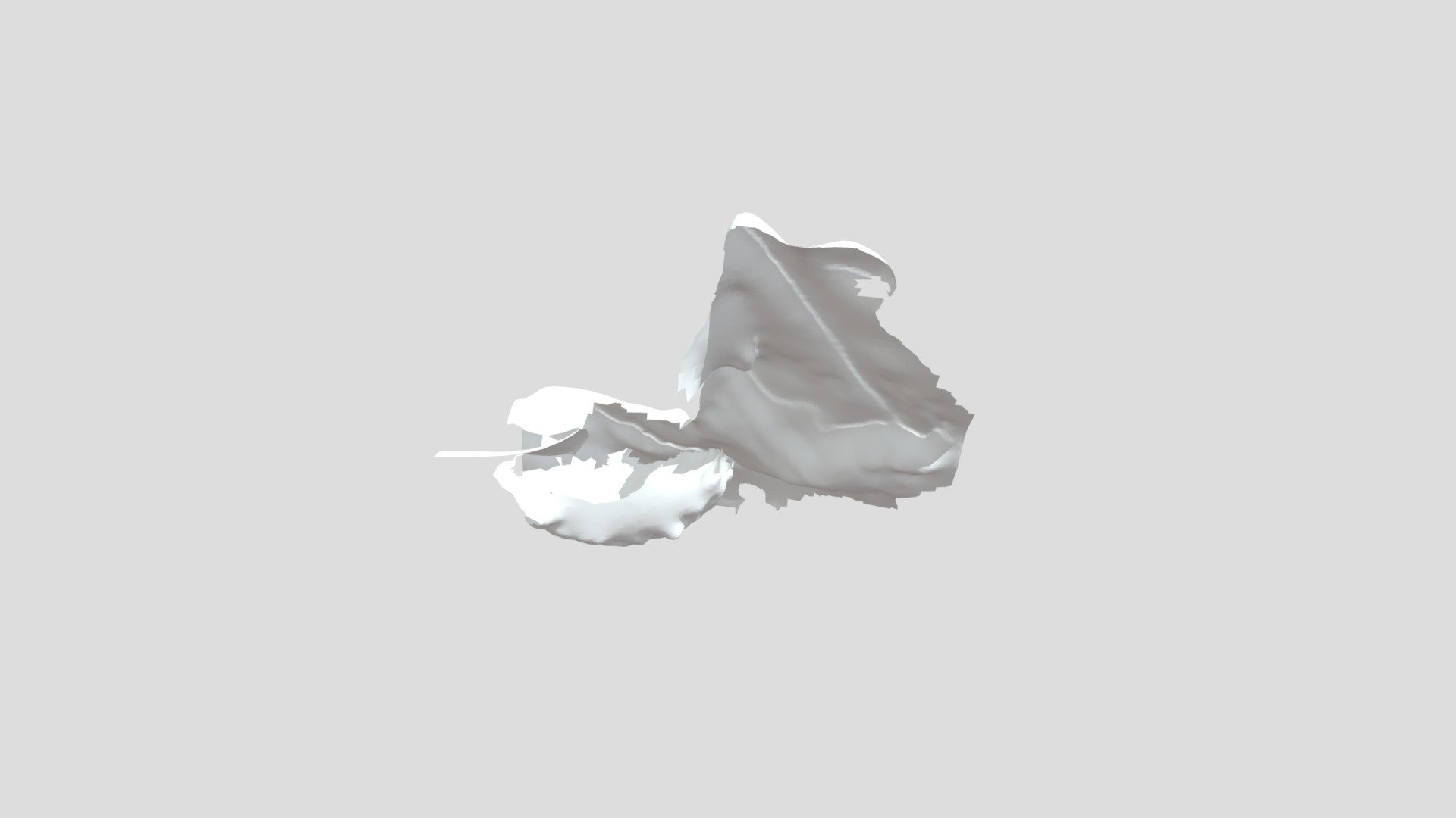 Narwhal SCANN3D Model - Download Free 3D model by lag7947 [49e651e ...