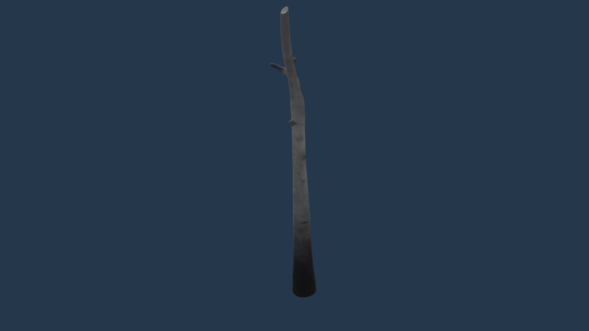Birch_tree_with_texture - 3D model by millavie [49efb94] - Sketchfab
