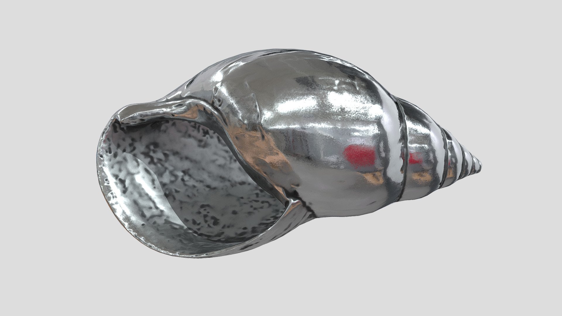 Seashell more resolution - Download Free 3D model by Alessandro Zanetti ...