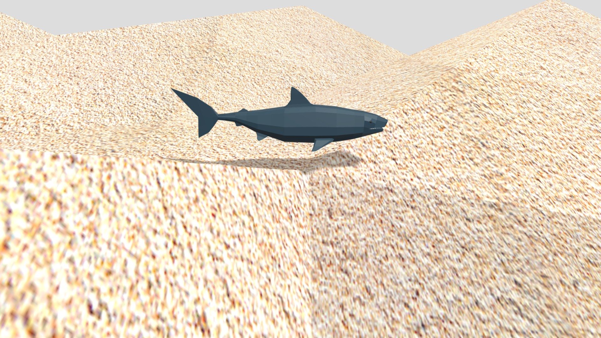 Tiburon 1 - Download Free 3D model by RoothB [49f6e87] - Sketchfab