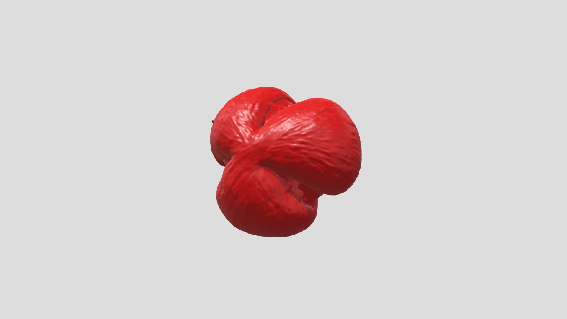 Field maple (Acer campestre) pollen grain - 3D model by Cardiff ...