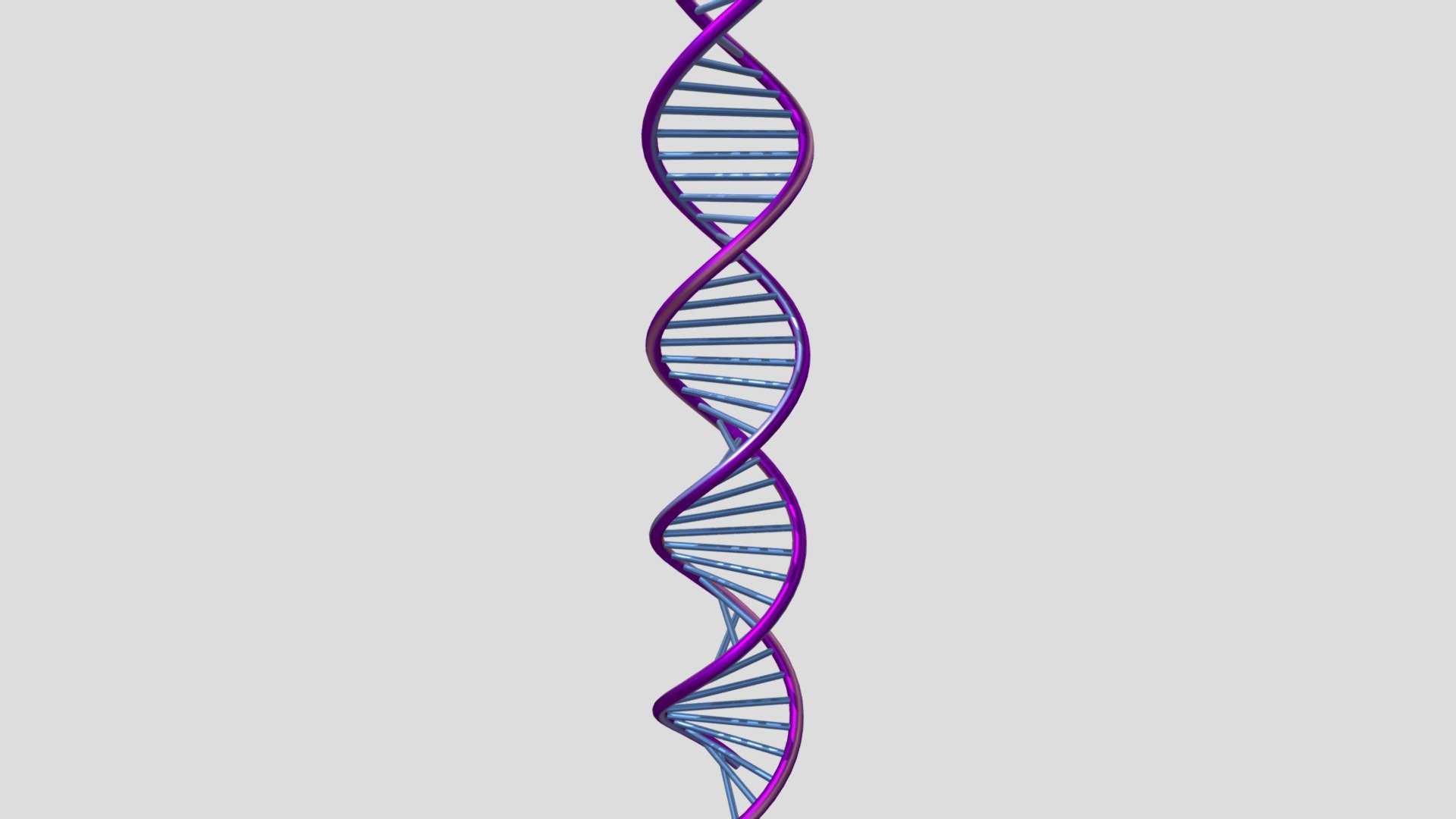 Purple (DNA) Helix - 3D model by Fedawy [49fb5be] - Sketchfab
