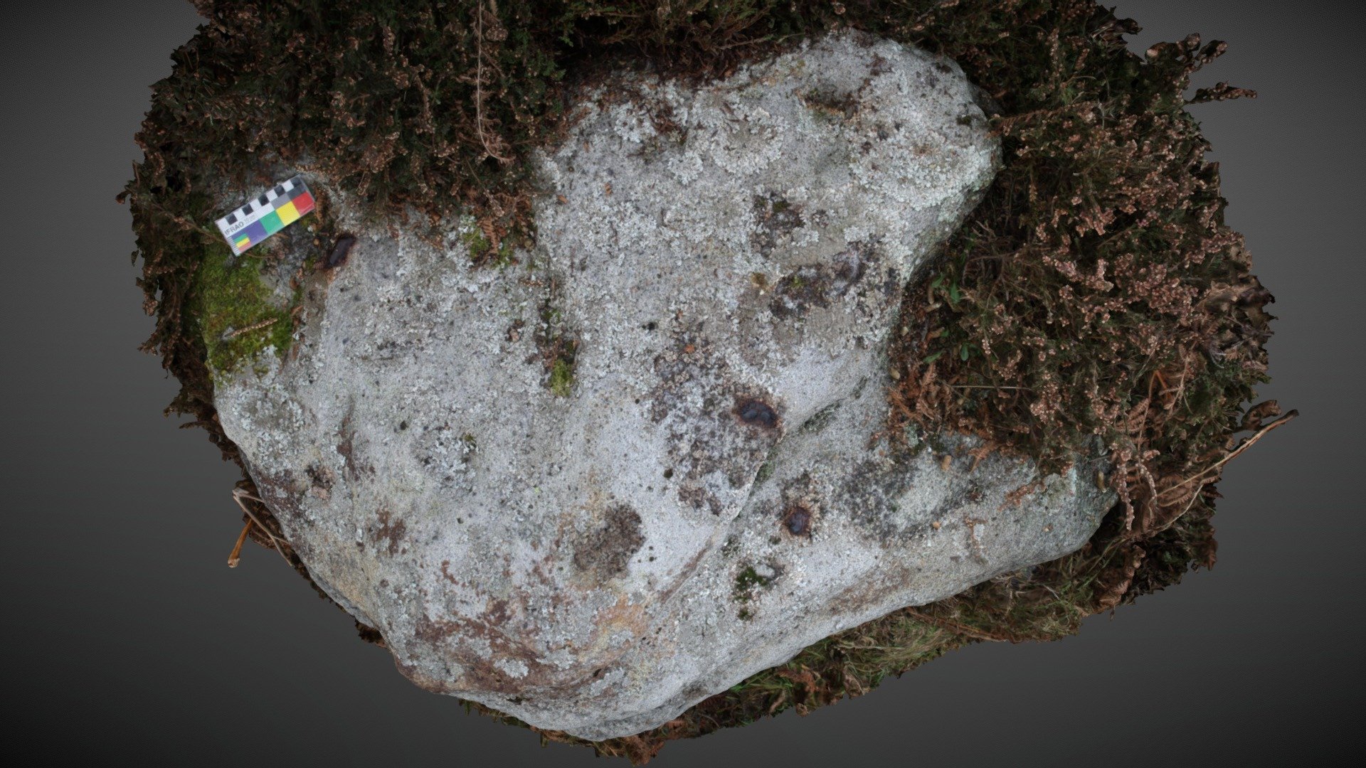 Middleton Moor (IAG461) - Download Free 3D model by England's Rock Art ...