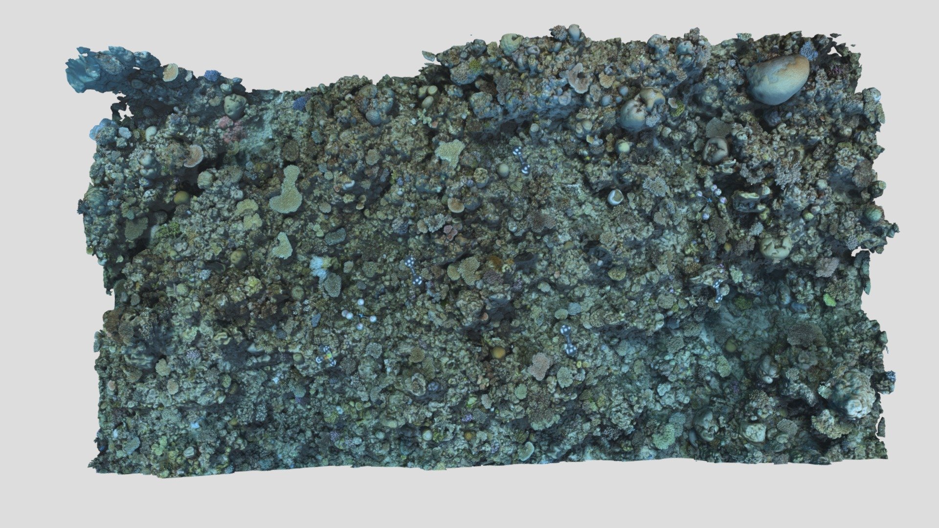 Davies_FR1S_P4_202201 - 3D model by EcoRRAP (@AIMSEcoRRAP) [4a08738 ...