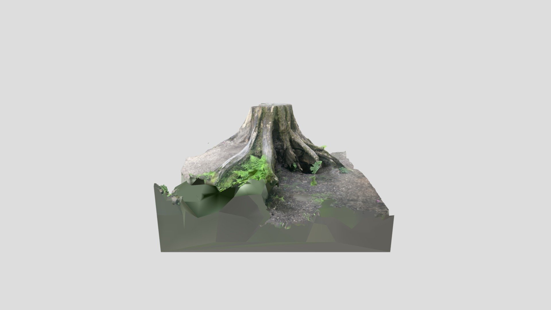 Tree Stump (3D SCAN) - Download Free 3D model by TankCommanderGav ...