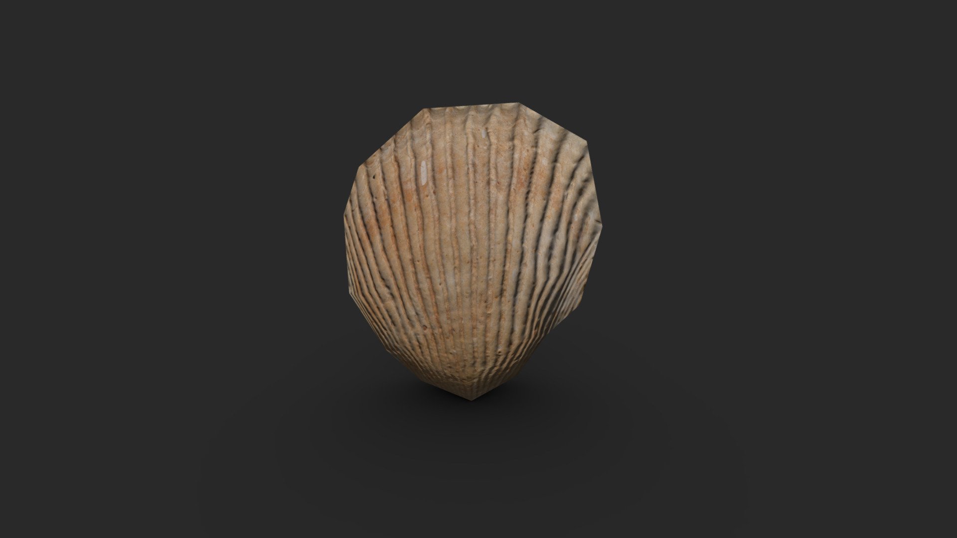 Shell lowpoly - Download Free 3D model by Evan (@Evanz) [4a0d1fa ...