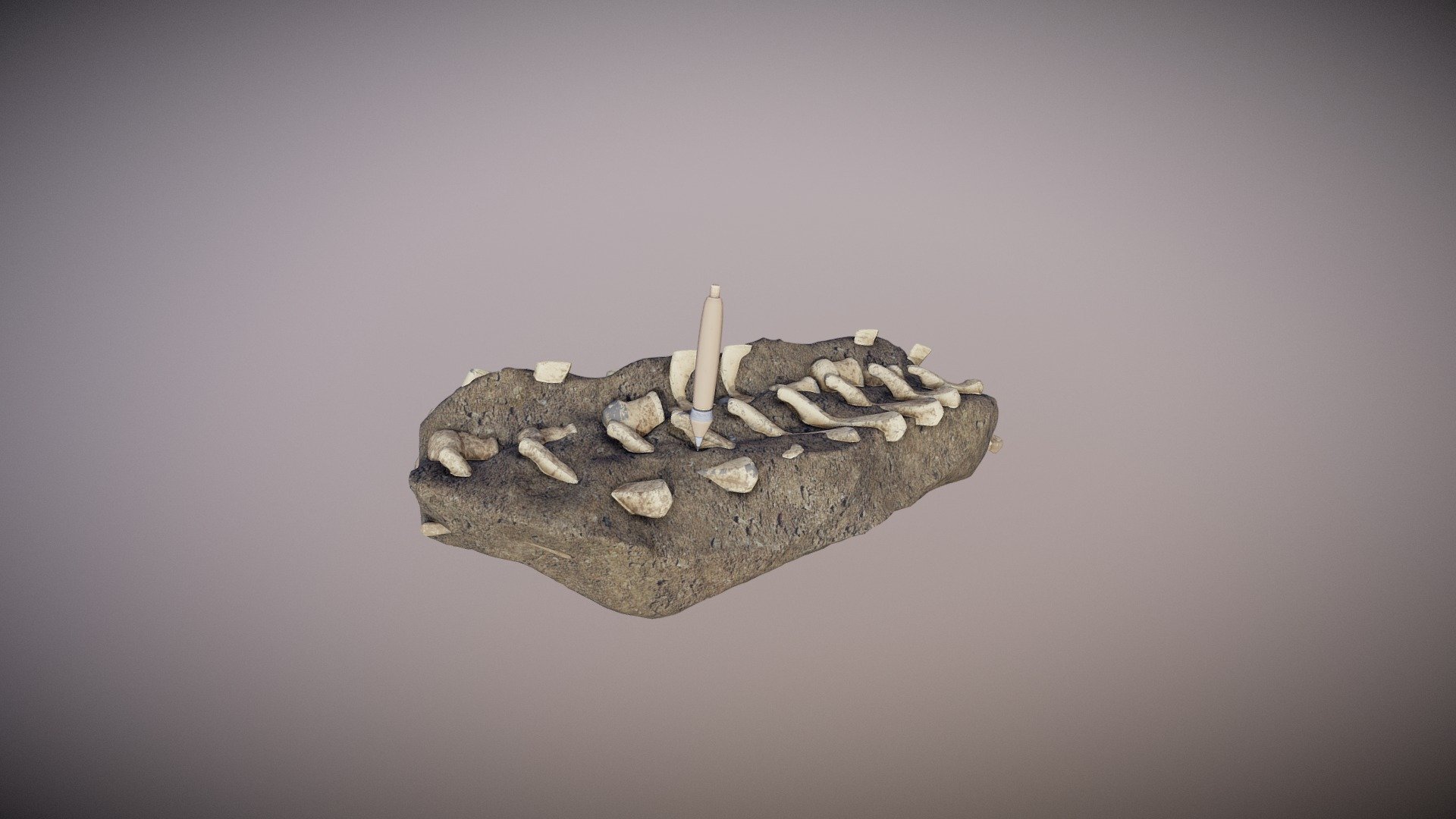 Digging up dinosaur bones - Preparing - 3D model by Vida Systems ...