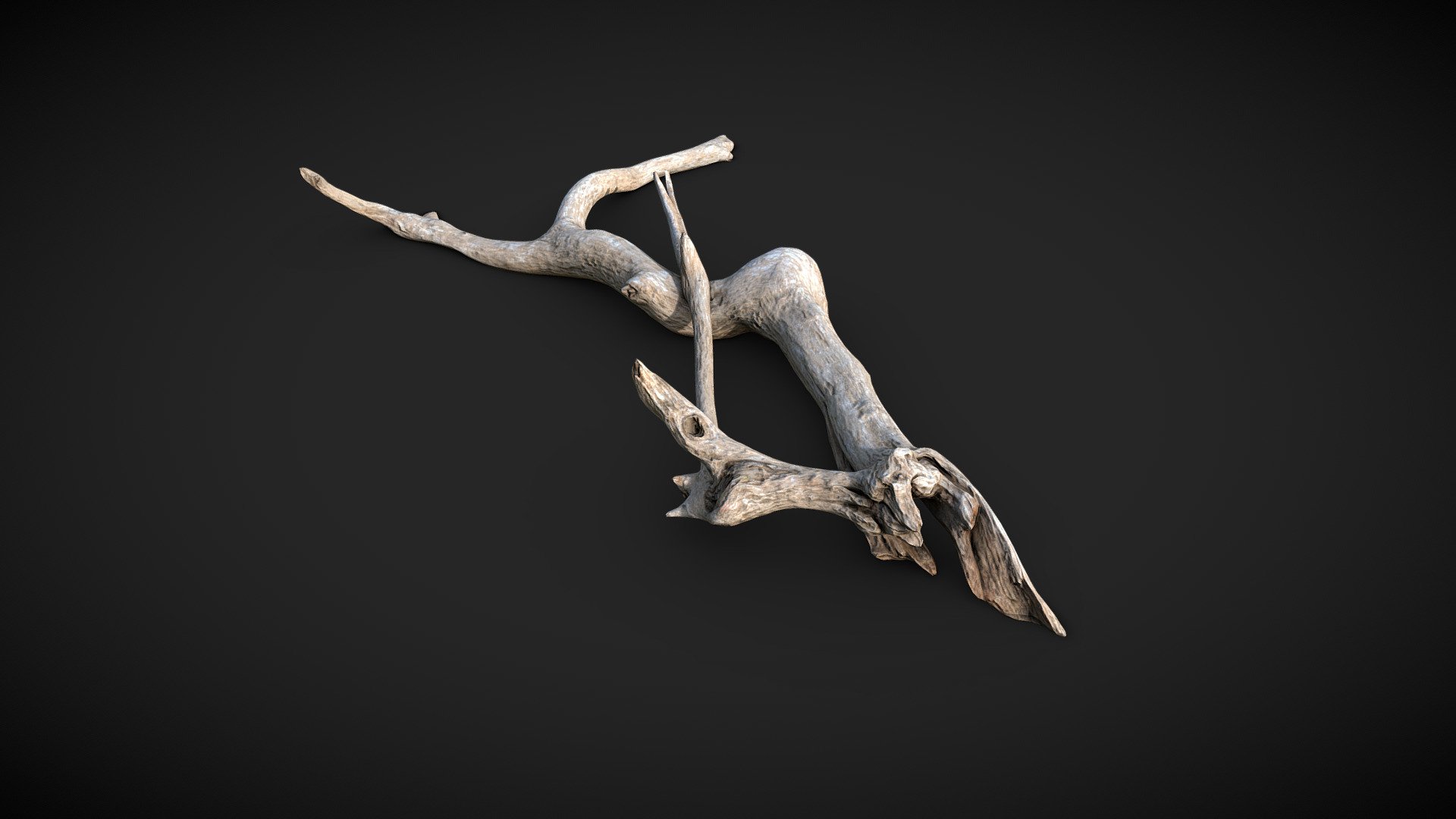 Tree log - Low poly - Download Free 3D model by Evgeni Yanev (@Evgeni ...
