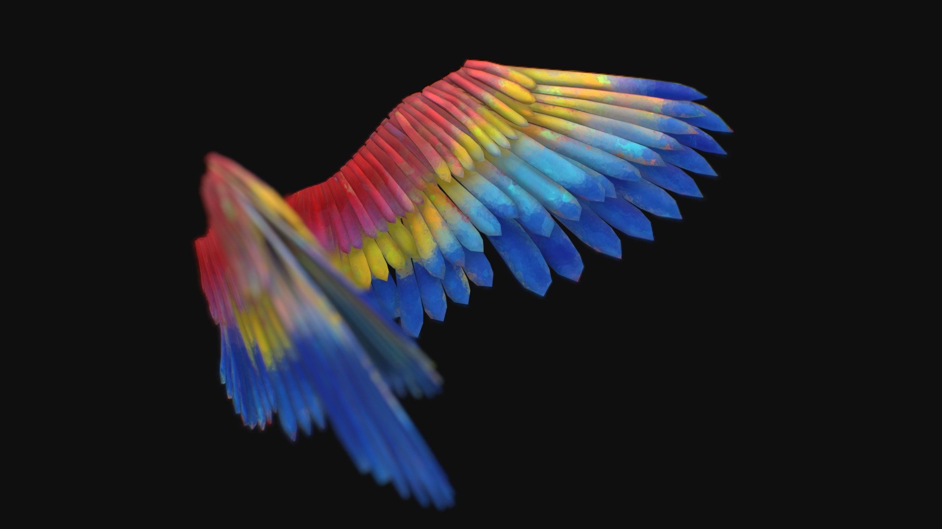 Parrot wings - 3D model by MildriAB [4a15e34] - Sketchfab