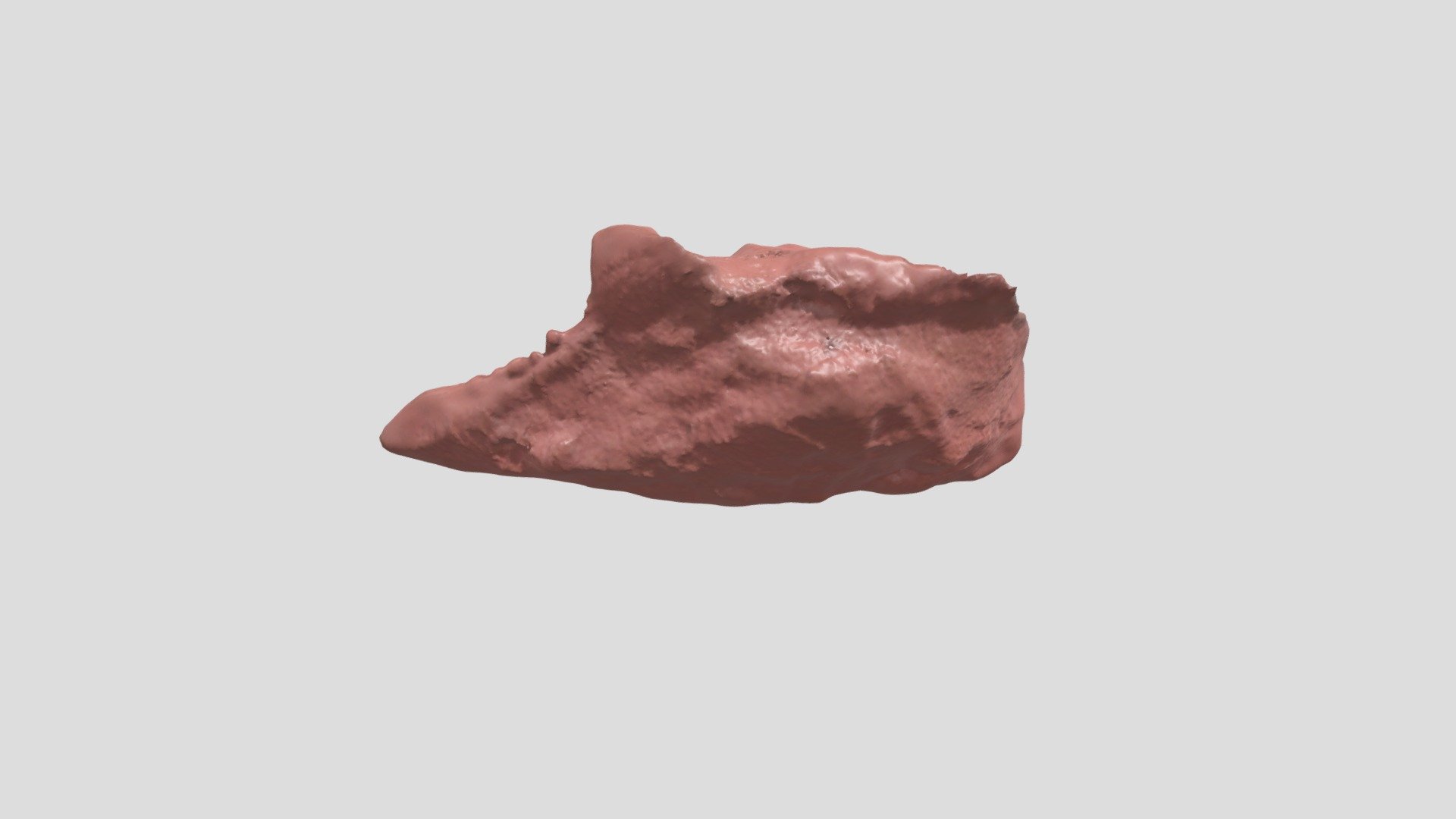 Inferior nasal concha (L) - 3D model by 3D Leiden Archaeology [4a1da8b ...