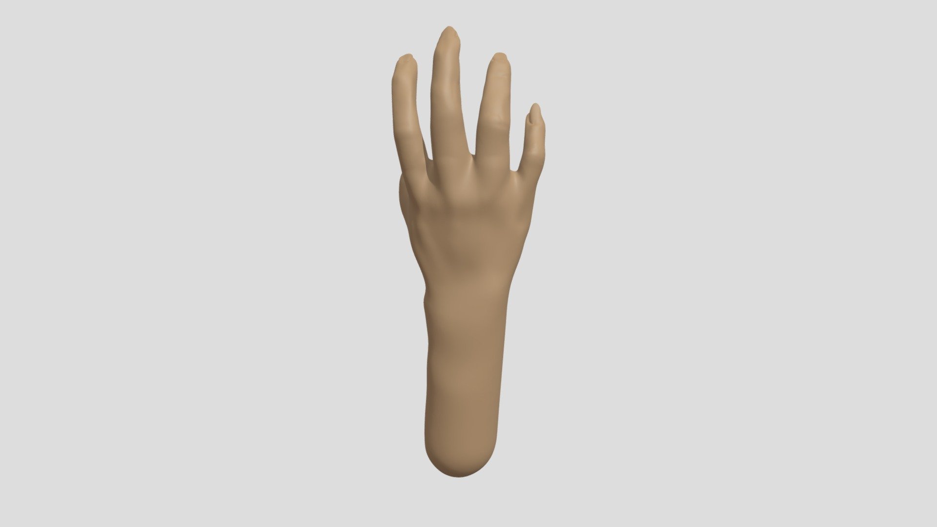 HeatherBautista- Hand mesh - 3D model by Heather (@hbautista0009 ...