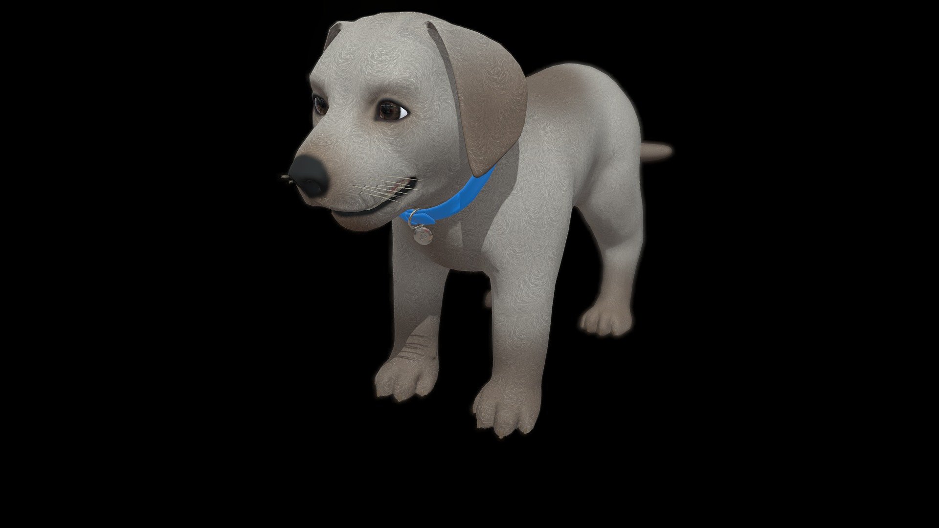 Labrador Puppy - 3D model by Venera Zappalà (Vera) (@lilith) [4a2fb16 ...