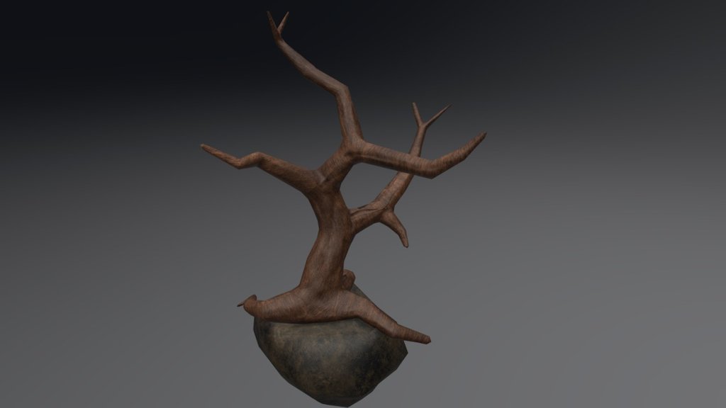 Tree and Rock - 3D model by Jcopter [4a3eea8] - Sketchfab