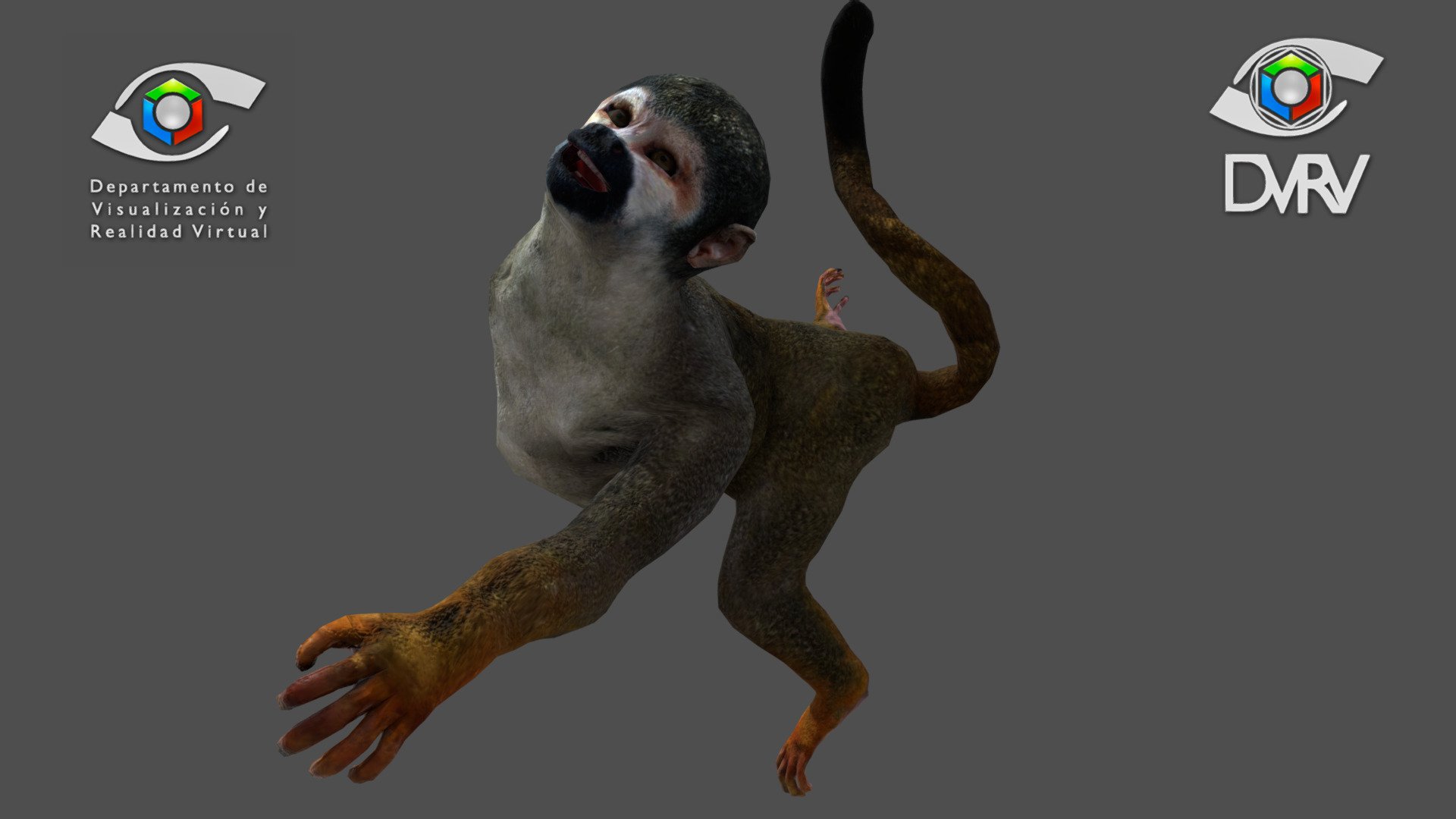 Mono - 3D model by UNAM | DGTIC | DITE | DRDE (@DRDE_UNAM) [4a468e2 ...