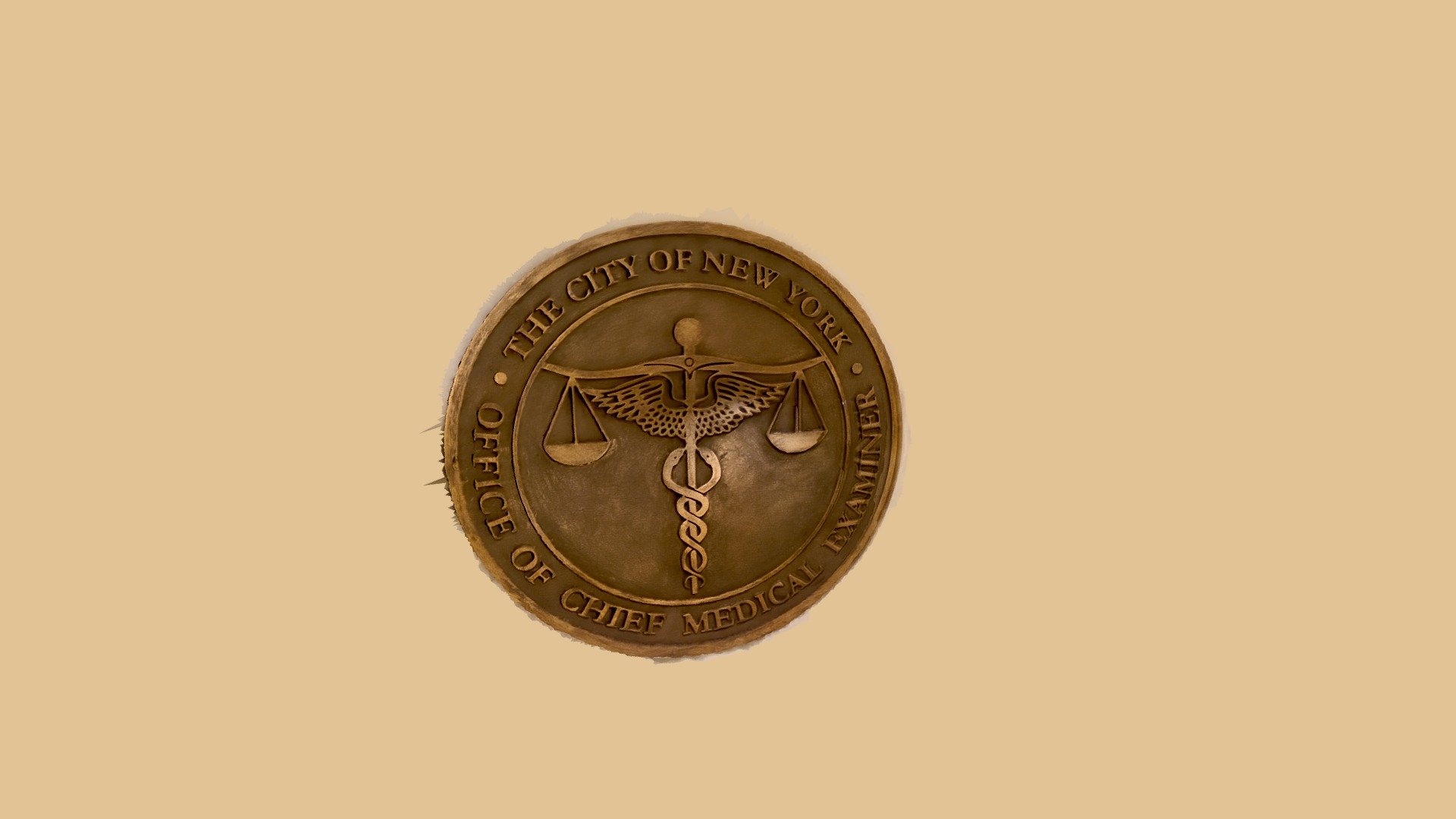 Medical exam logo - 3D model by Chris Mcardle (@artist88mcardle ...