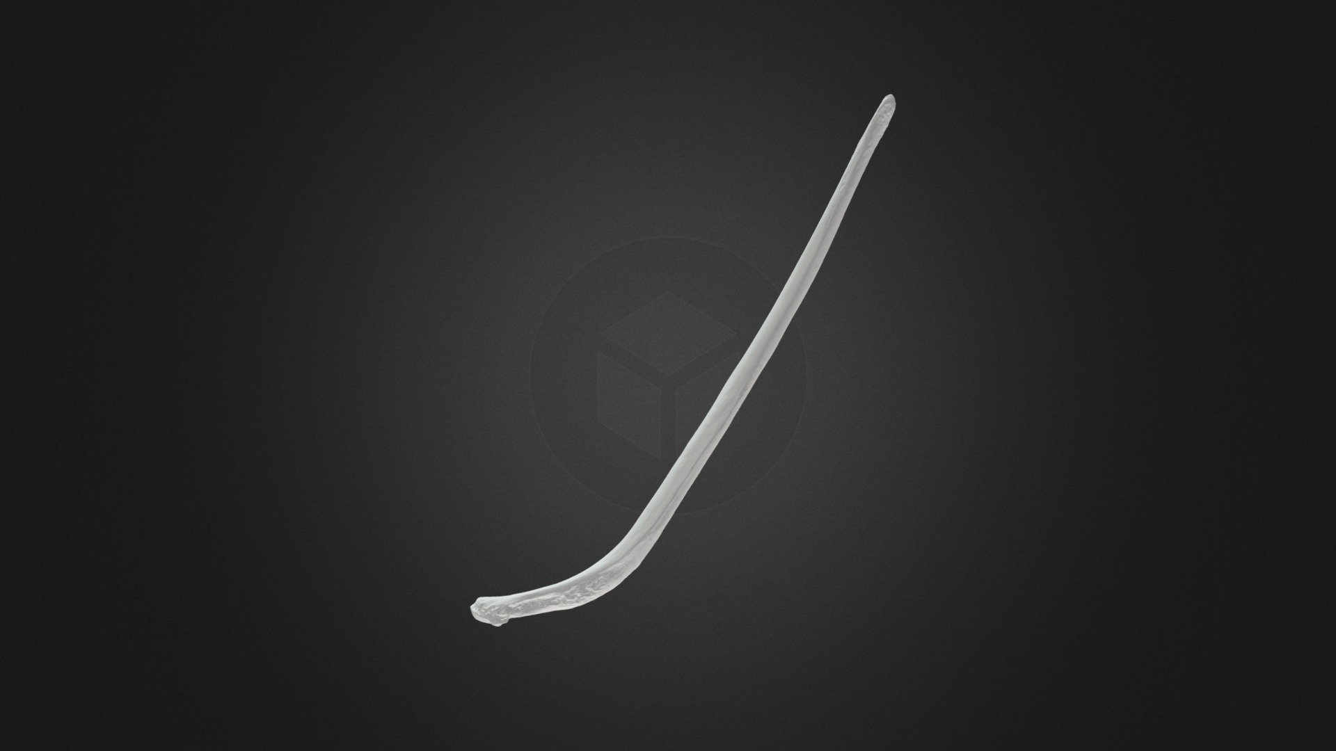 Loxodonta africana (elephant) Left Rib 20 (sin) - Download Free 3D ...