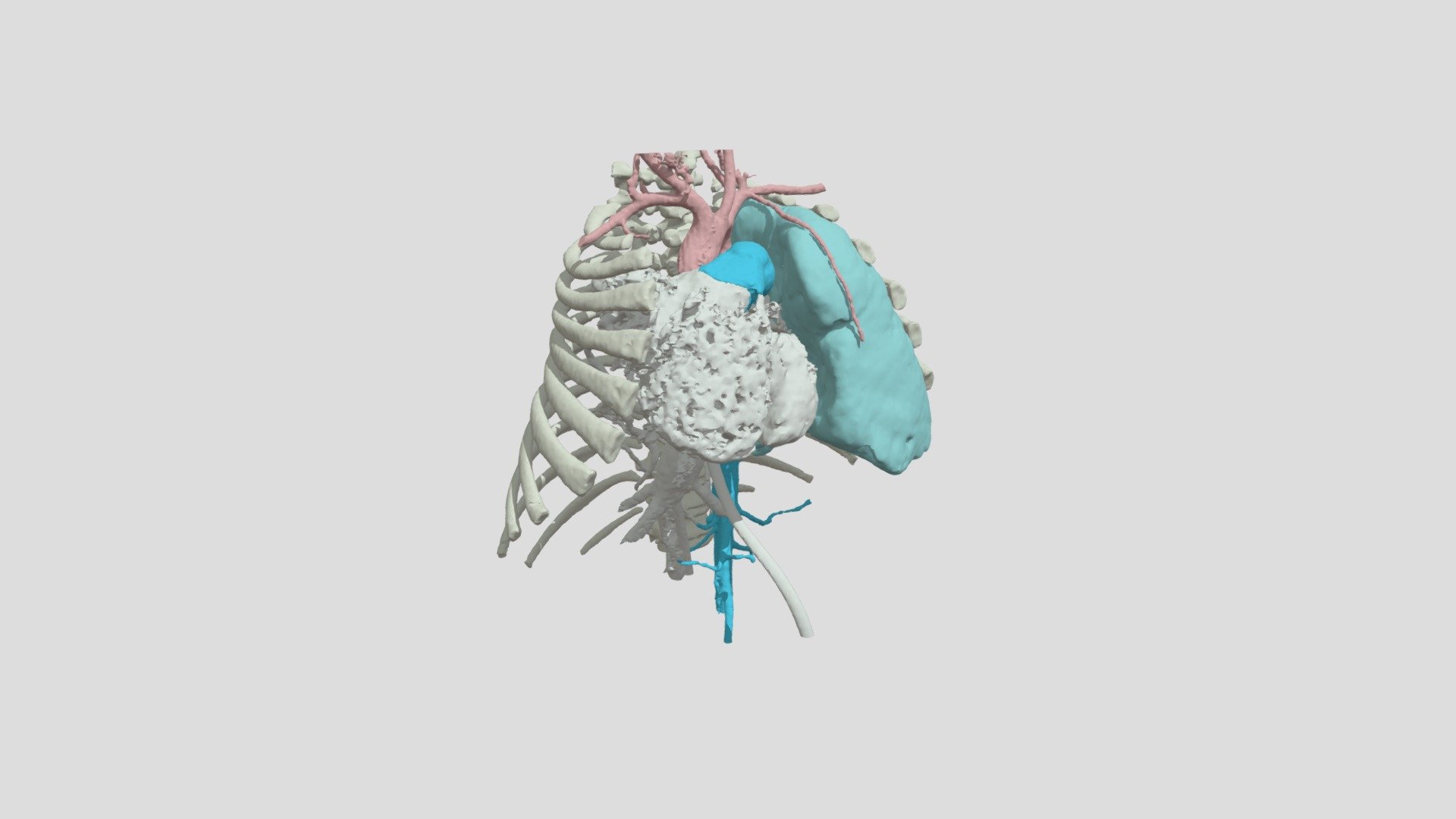 Full Chest With Separated Scimitar (S0363) - 3D model by NCH Advanced ...