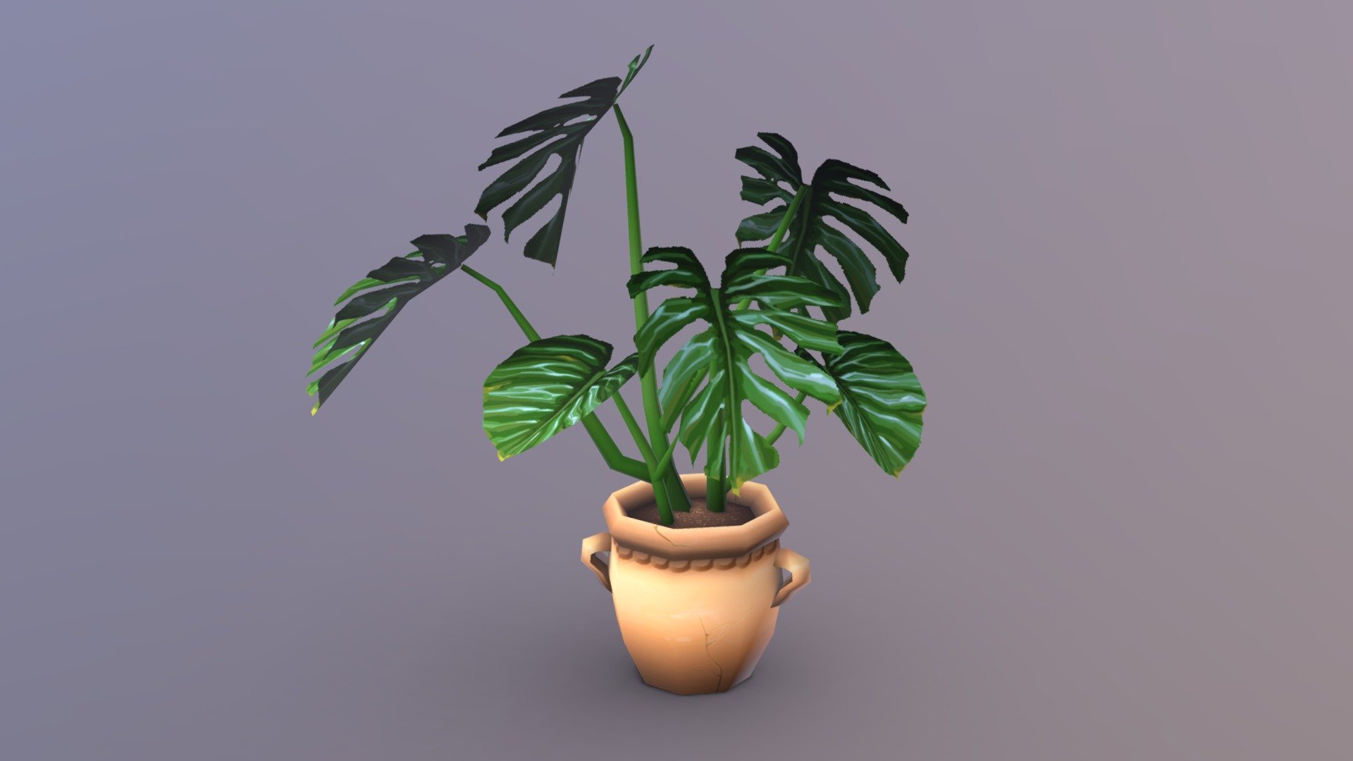 Monstera Deliciosa - Buy Royalty Free 3D model by matejlou [4a5ea84 ...