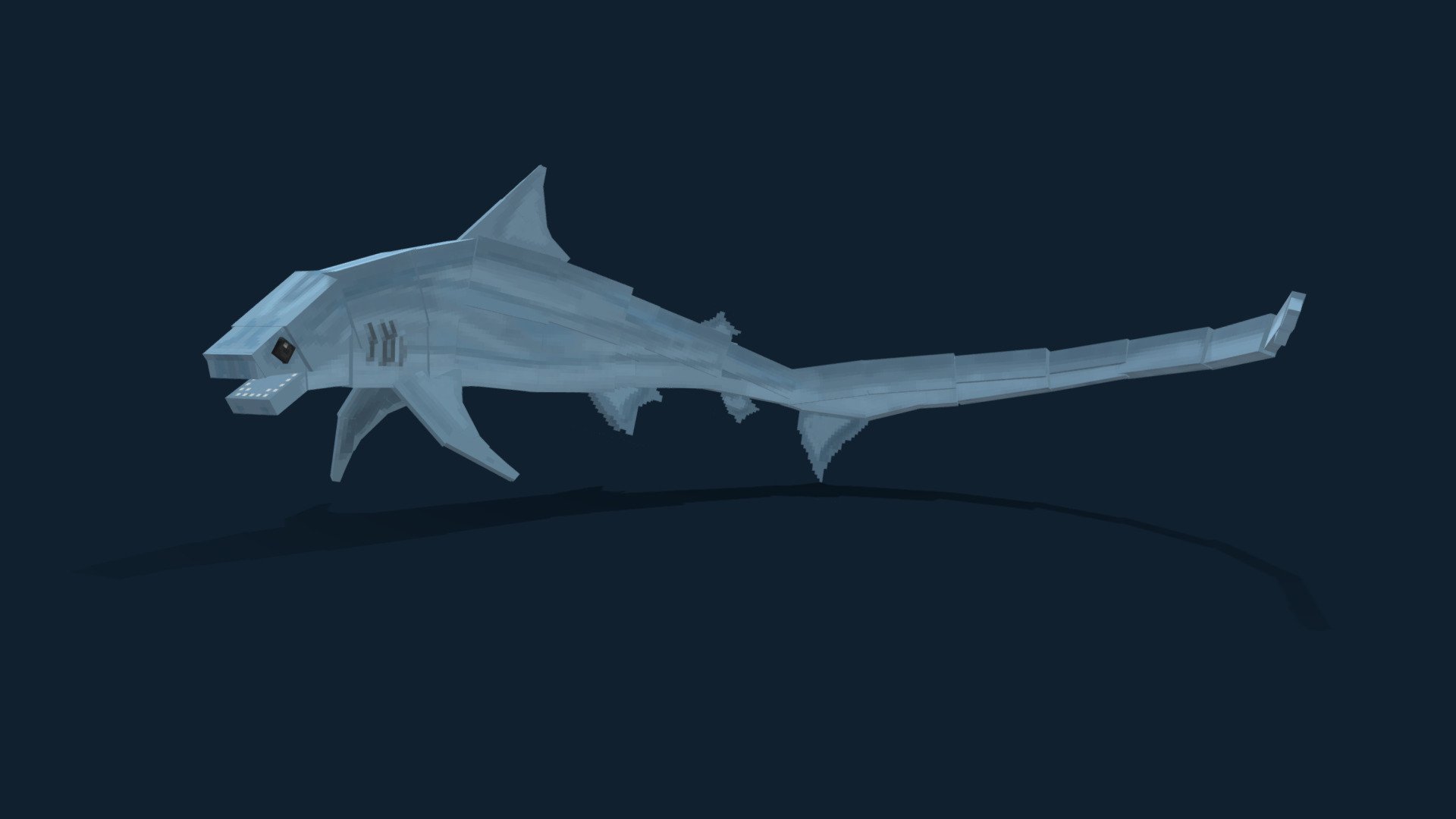 Thresher Shark - 3D model by Smooch3D (@Smoochie) [4a694e8] - Sketchfab