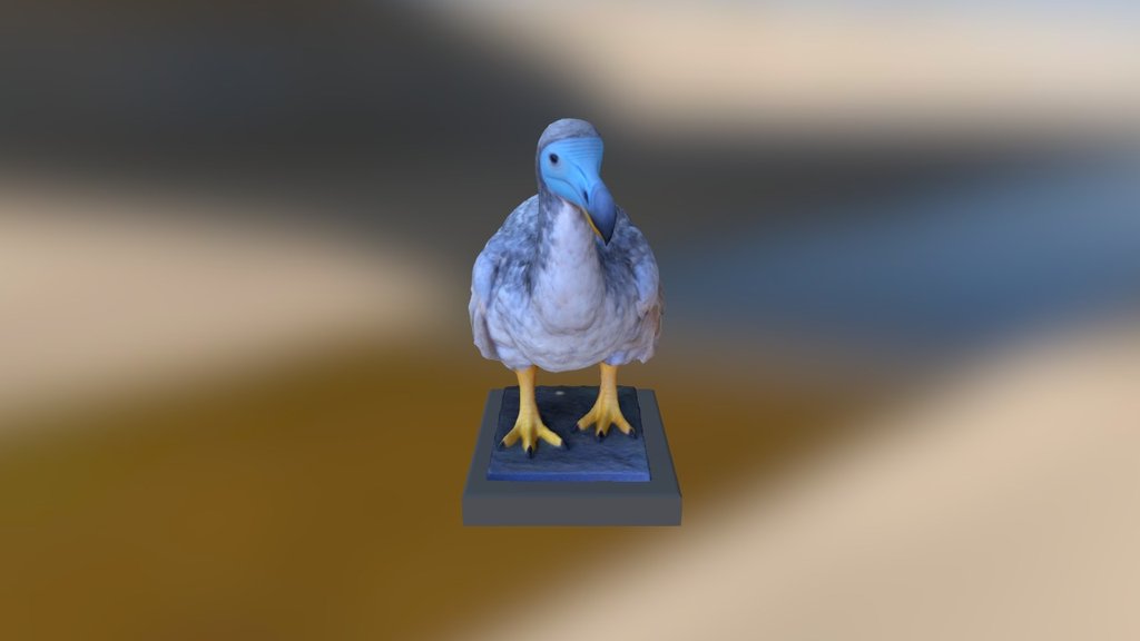 dodo-model - 3D model by pengo [4a6b86b] - Sketchfab