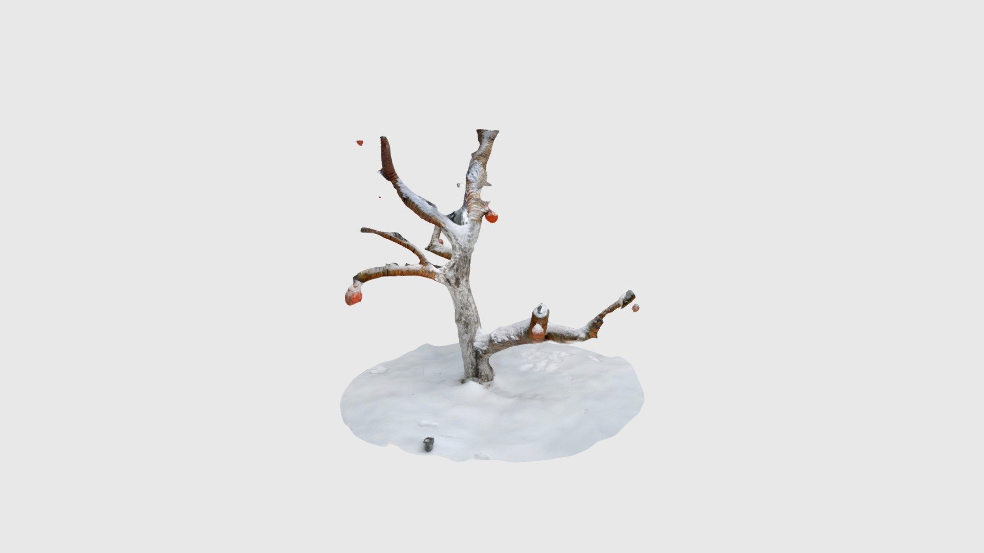 #watercolors fun. Decorated dead tree - Download Free 3D model by PAF ...