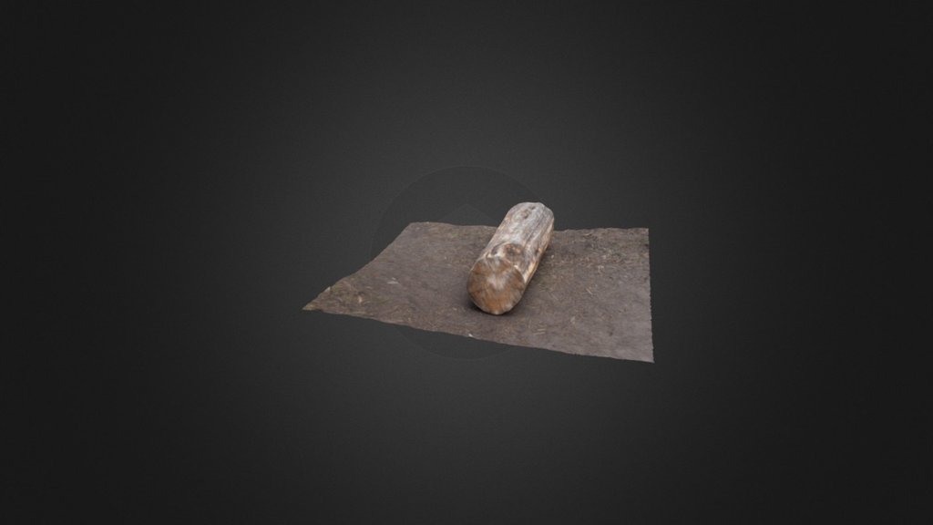 Glorious Log of Wood - 3D model by TheLastVertex [4a7011e] - Sketchfab