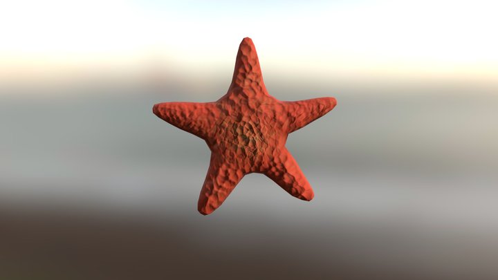 Starfish 3D models - Sketchfab