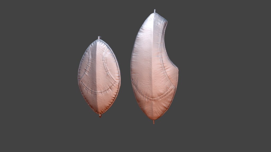 Both Shields Preview - 3D model by smartinius [4a7afb4] - Sketchfab