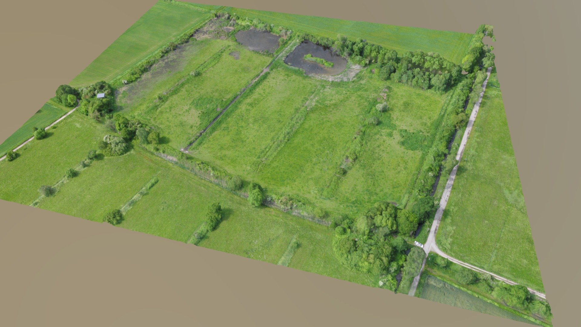 Naturschutzgebiet Rieselfeld / Freiburg - by WWL - 3D model by WWL ...