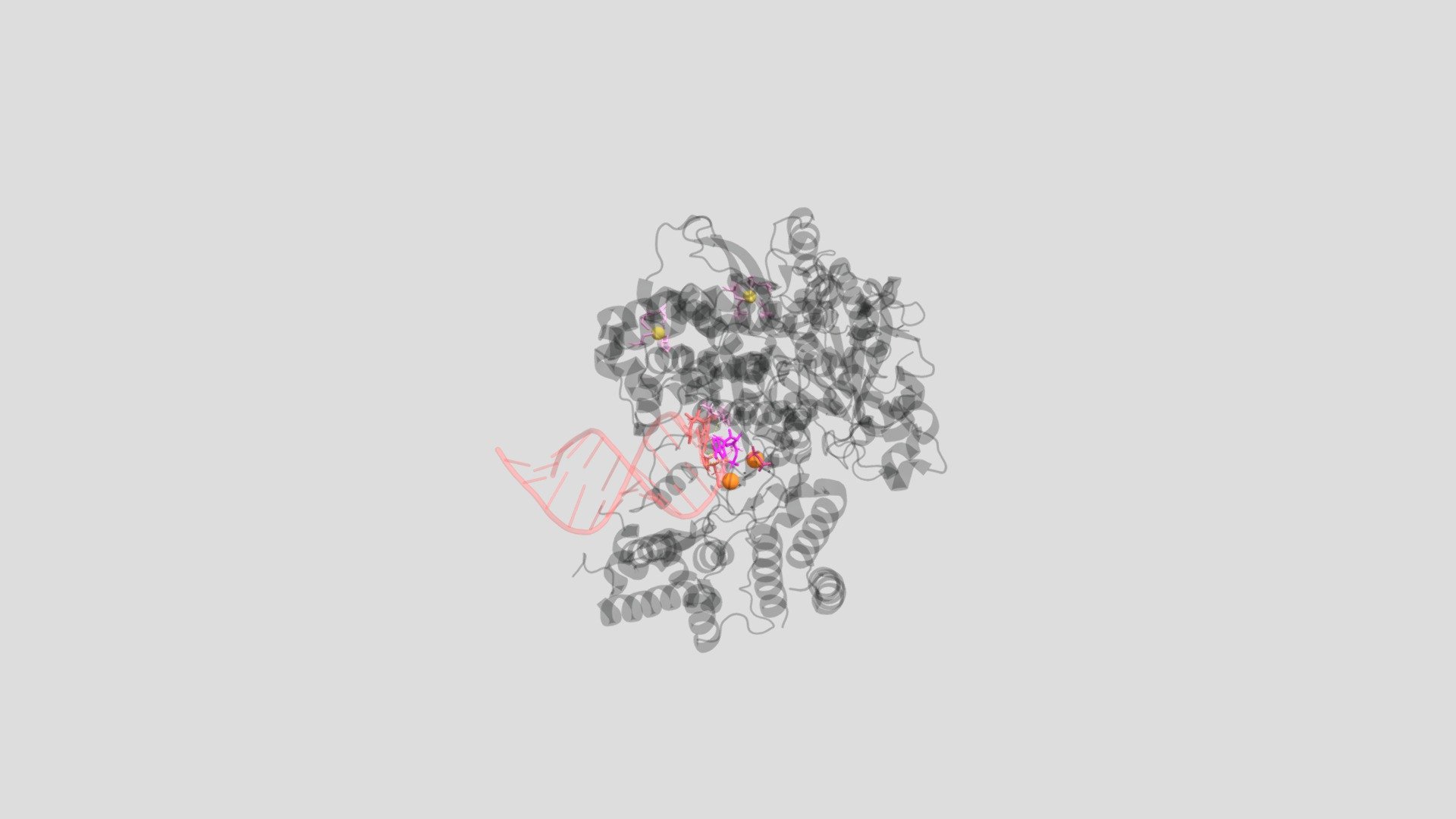 RNA-Dependent RNA Polymerase and Remdesivir - 3D model by niamhgk ...