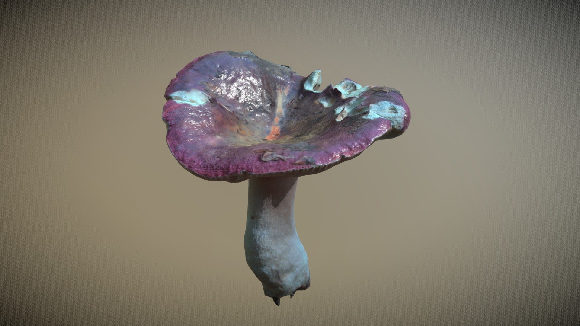 Russula sardonia - Download Free 3D model by Tadeas Kribek (@tadeas ...