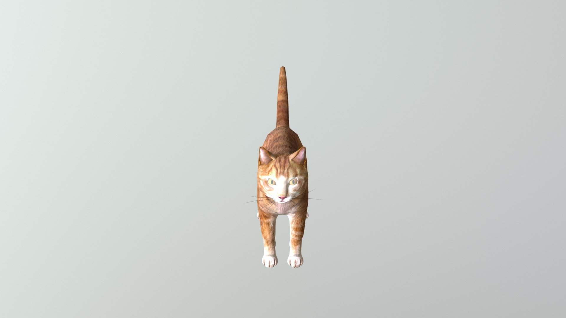 Cat - 3D model by OhLongJohnson [4a8815e] - Sketchfab