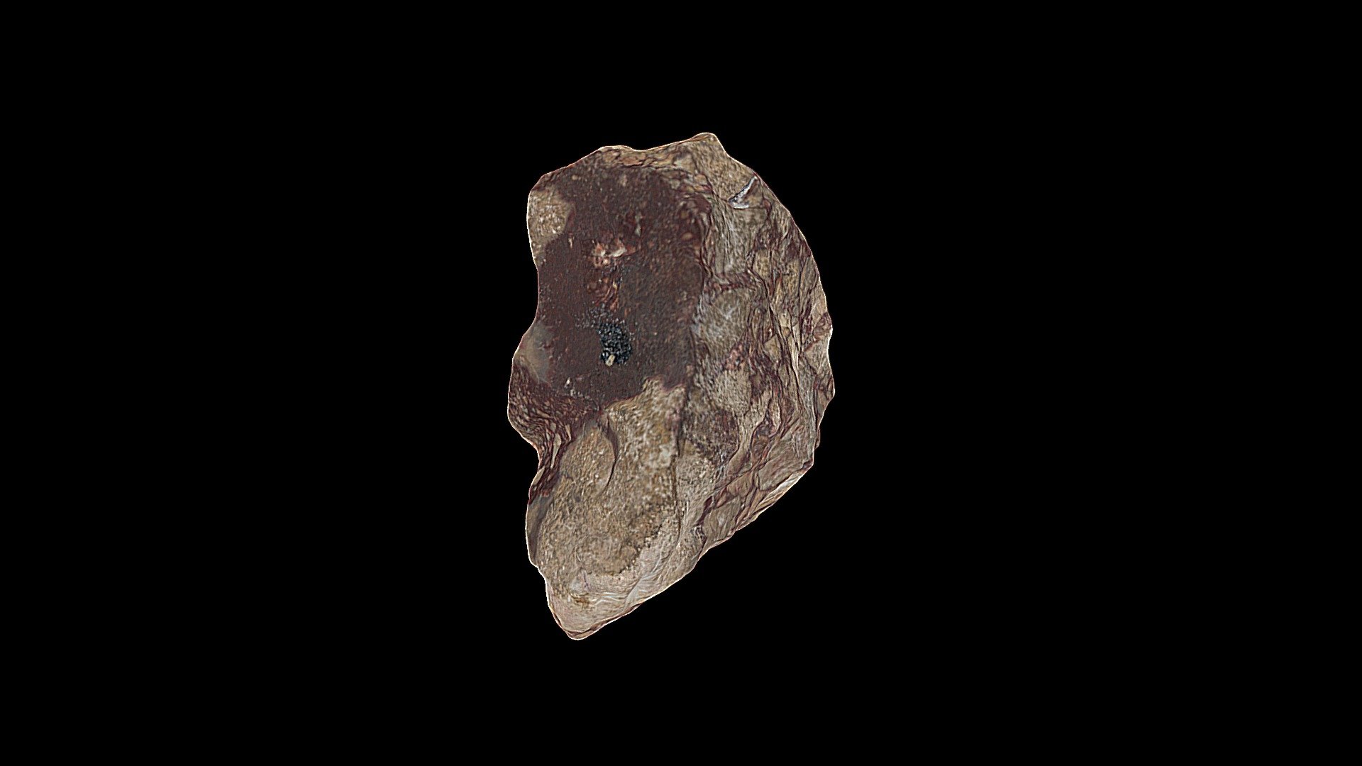 Sedimentary Rock 9 - 3D model by Oregon State University | Ecampus ...
