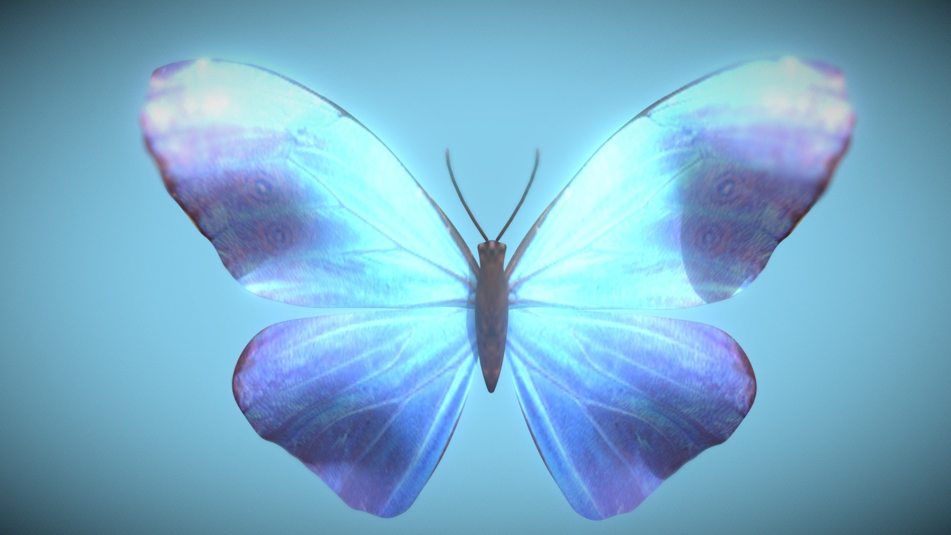 Butterfly - Download Free 3D model by rytphy [4a8a525] - Sketchfab