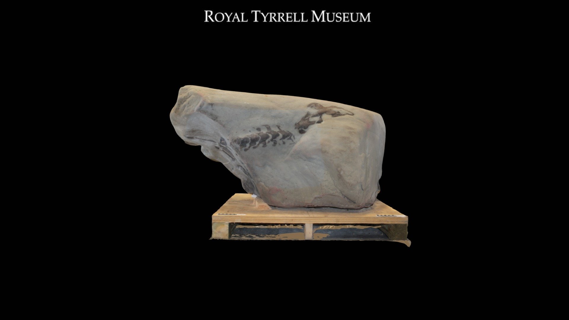 Castle River Hadrosaur - 3D model by Royal Tyrrell Museum of ...