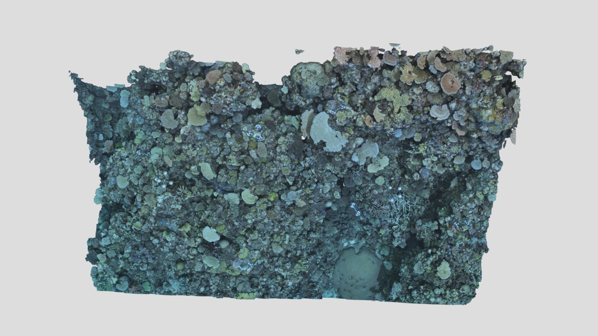 Davies_FR2S_P3_202301 - 3D model by EcoRRAP (@AIMSEcoRRAP) [4a91d85 ...