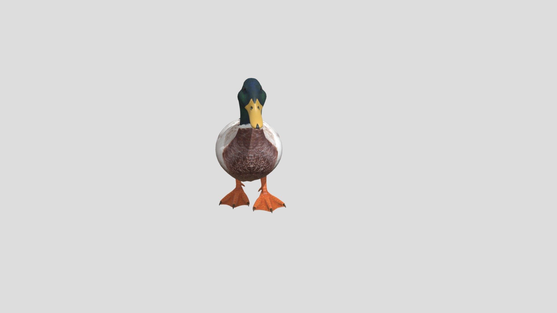 Duck Animation - Download Free 3D model by icekic [4a95a53] - Sketchfab