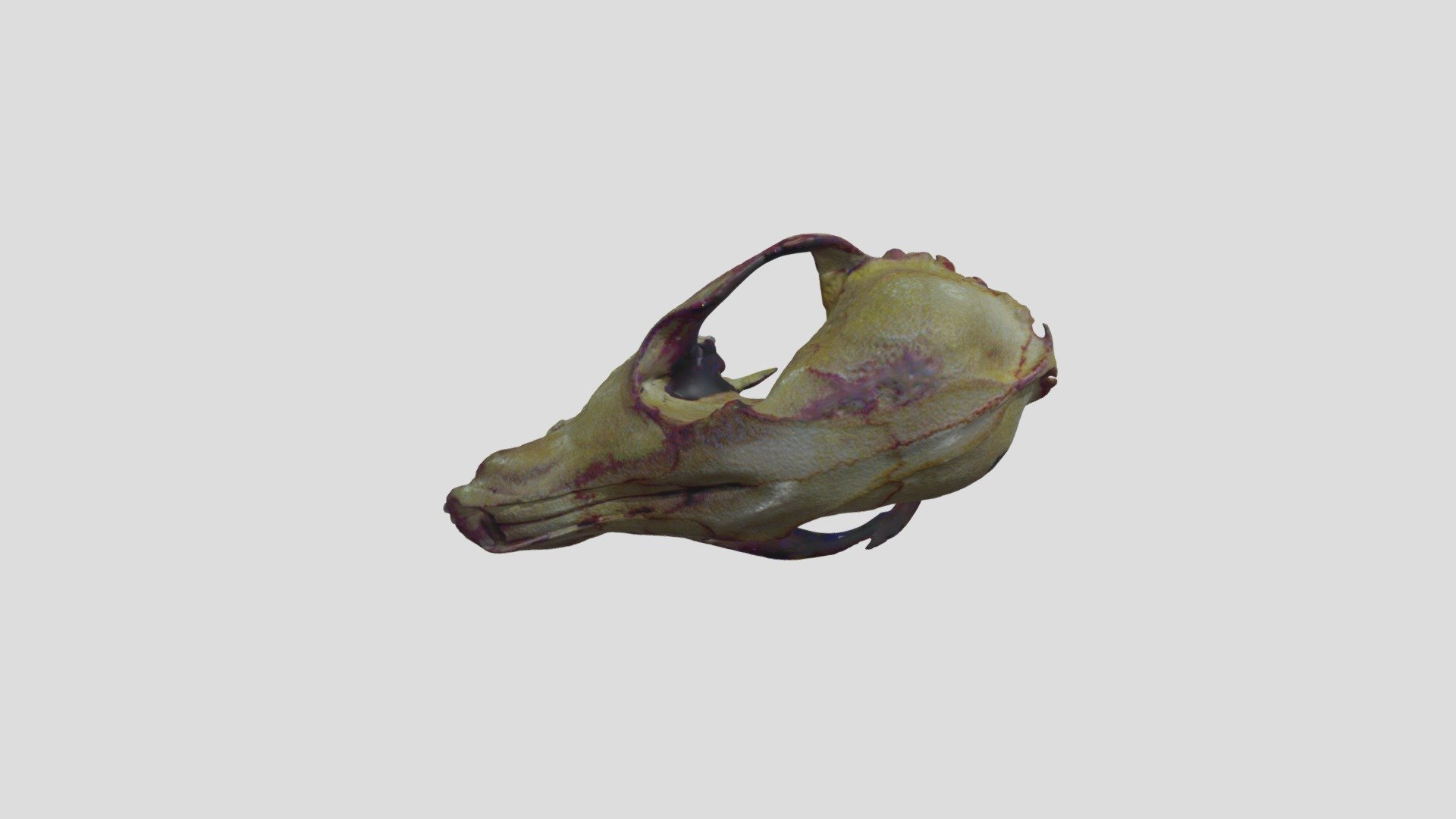 S13b - Download Free 3D model by megedwards [4ab6c45] - Sketchfab