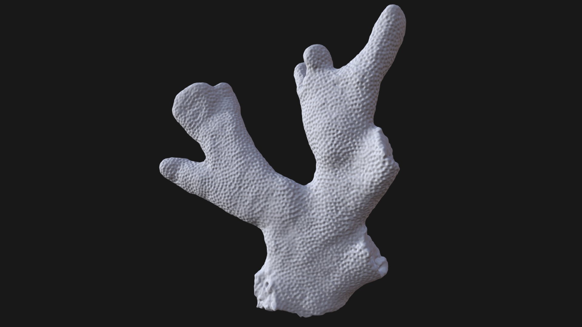 Corail - 3D model by pattarrian [4abc8b0] - Sketchfab