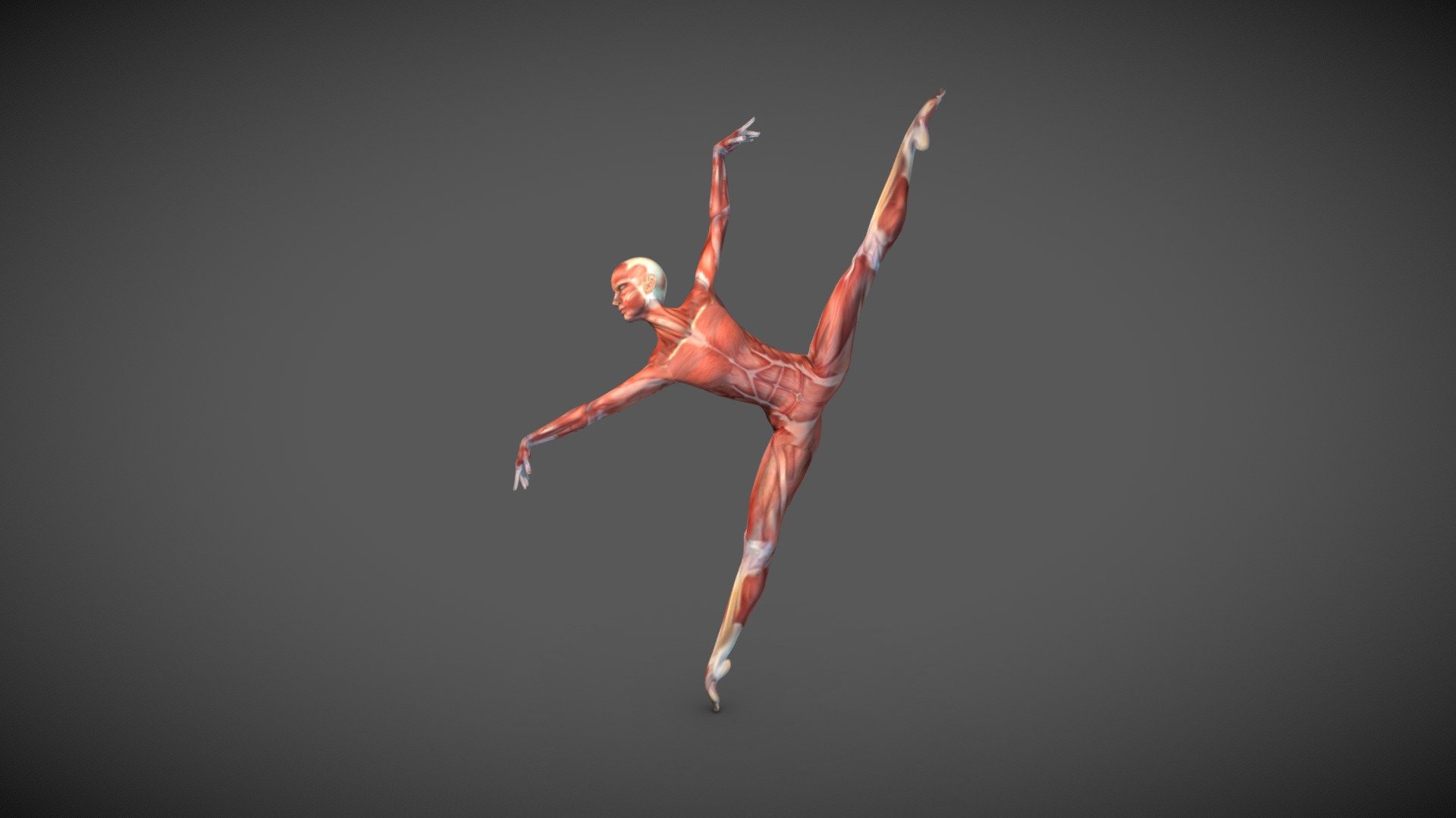 Side tilt ballet - Buy Royalty Free 3D model by Sets & Kits ...