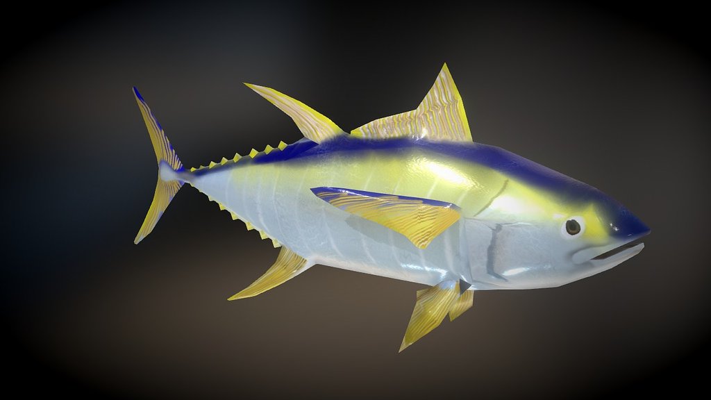 Yellow Fin Tuna - 3D model by Kramaa (@MiguelOrtega) [4ac57ee] - Sketchfab