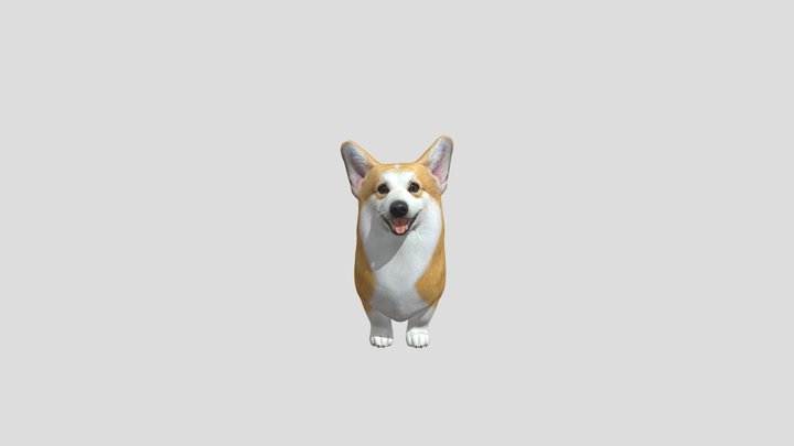Corgi 3D models - Sketchfab