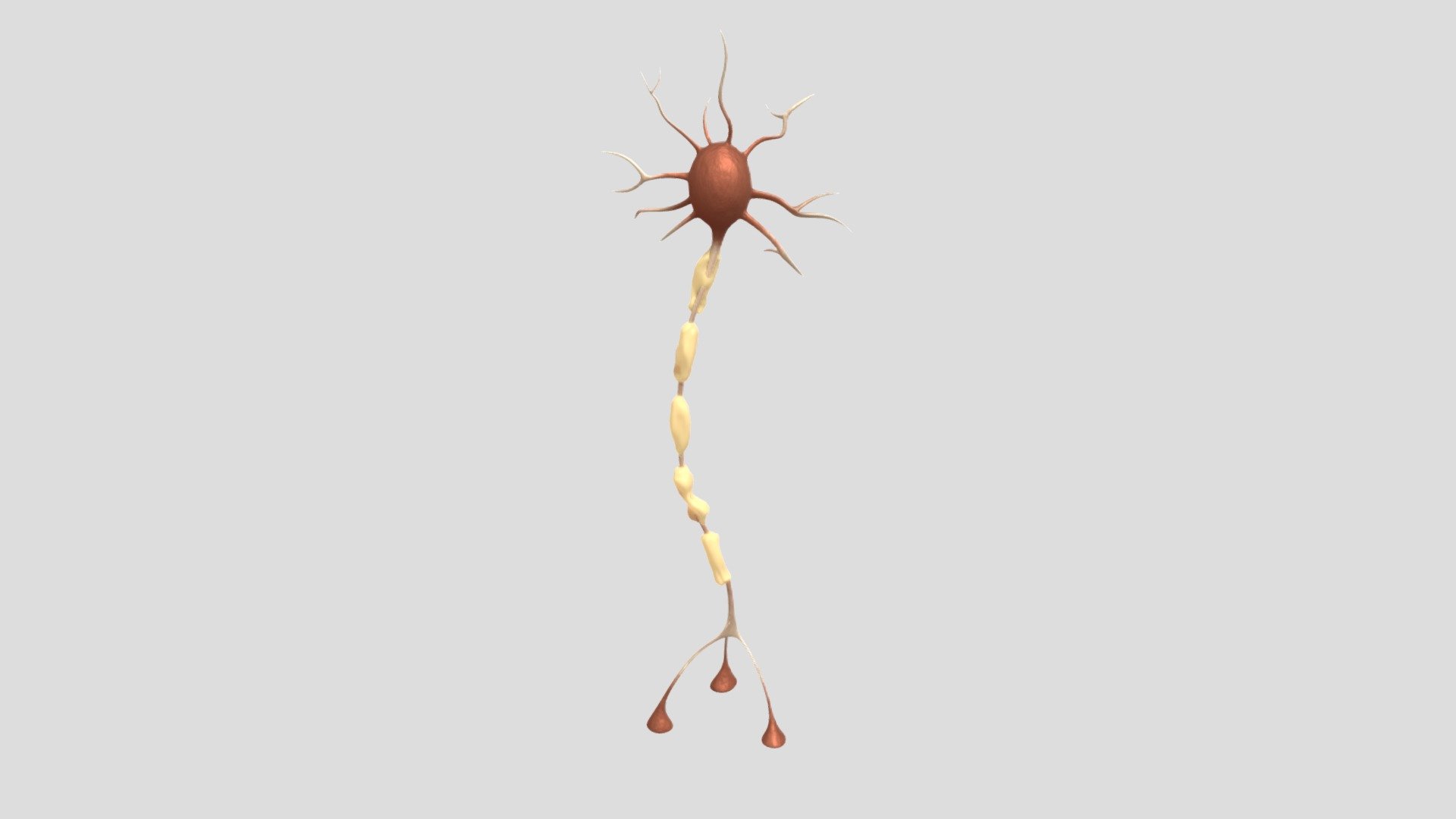 AR Tiolin Complex - 3D model by Allexino [4ad3c85] - Sketchfab