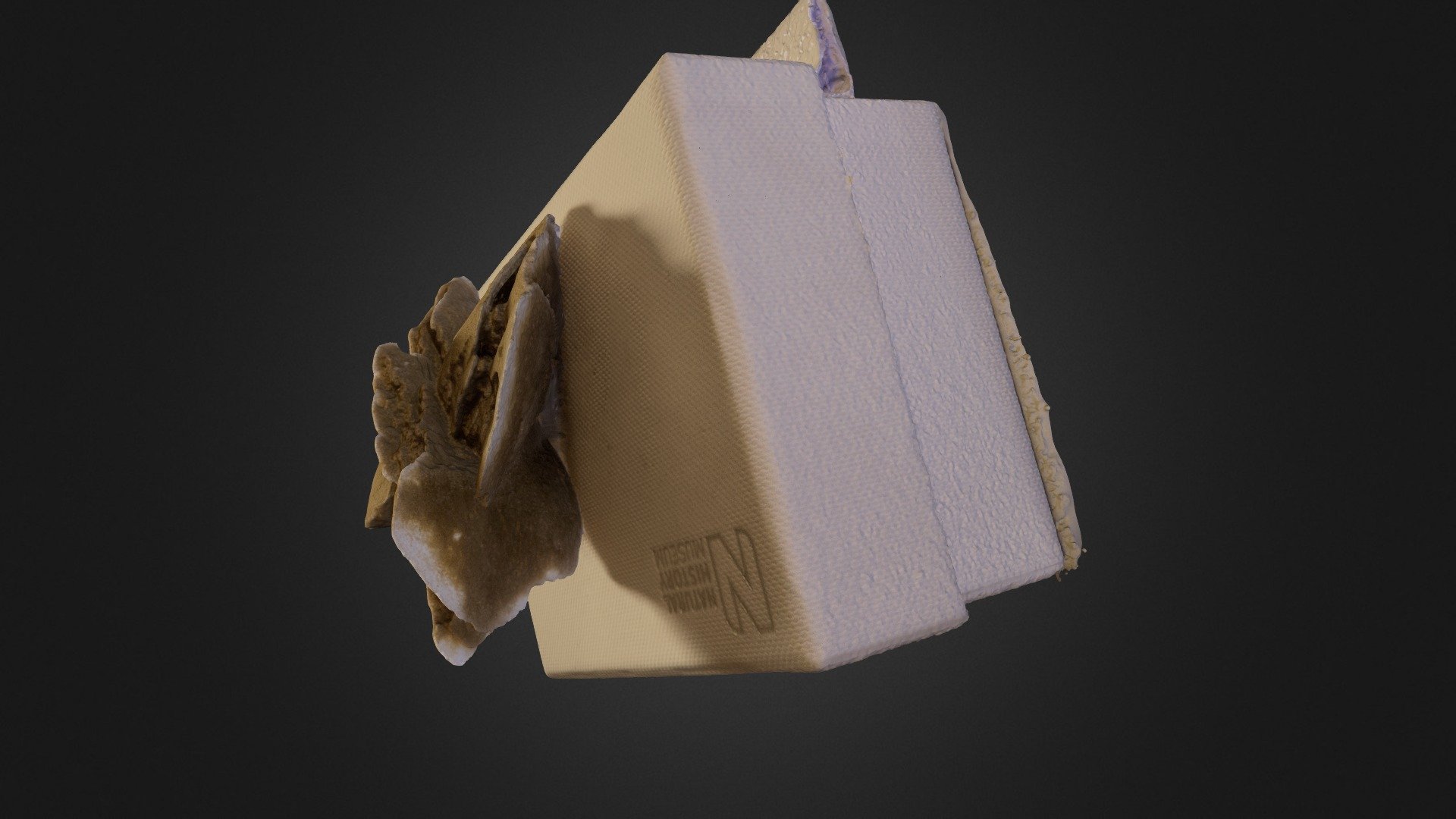 Desert Rose 2 - 3D model by robeastham [4ad7f86] - Sketchfab