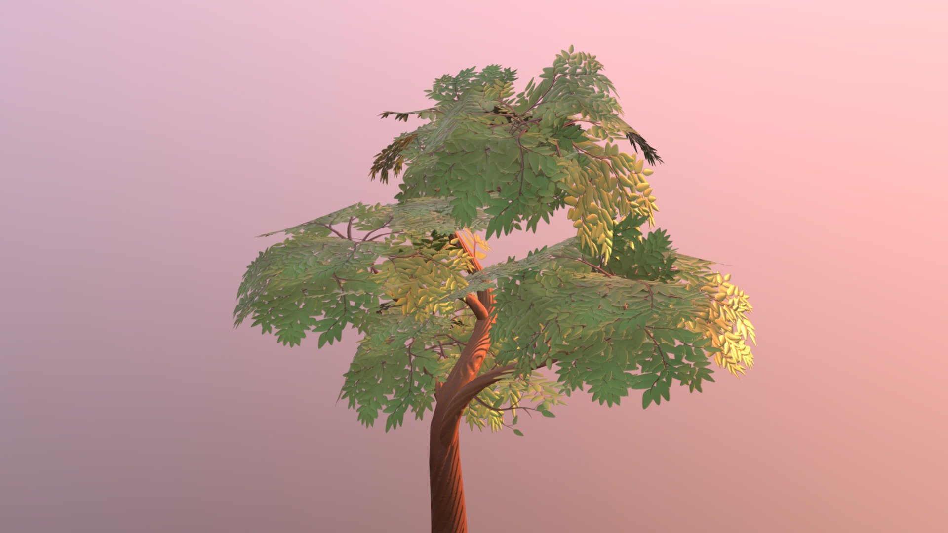 Sunset Tree - 3D model by polimagine [4adce37] - Sketchfab