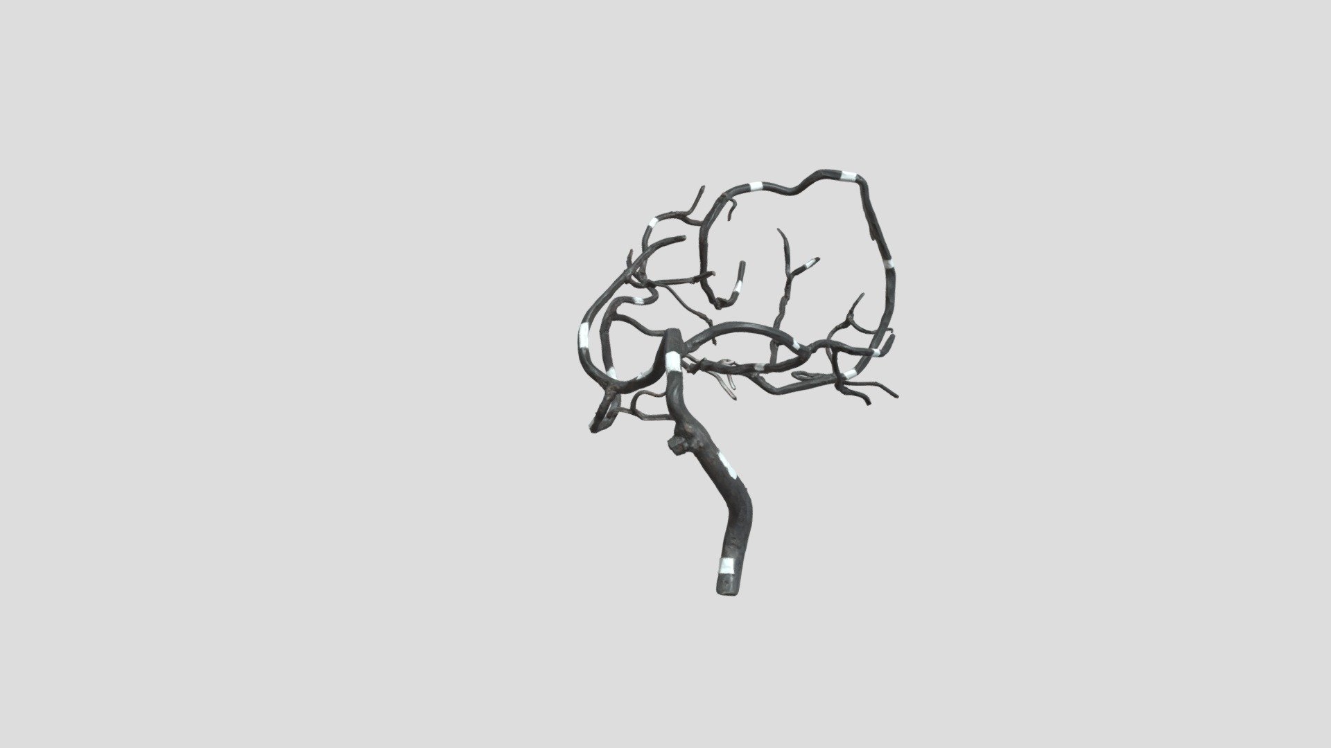 Iron Branch Final Scan OBJ - Download Free 3D model by makercommons [4ae262c] - Sketchfab