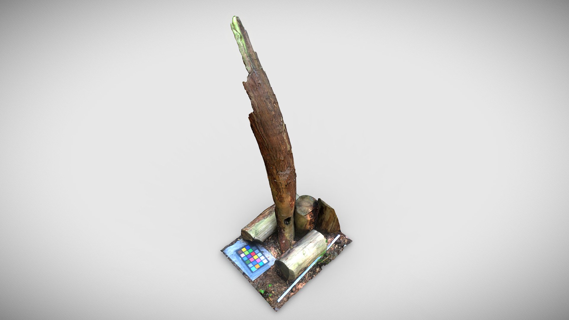 Tree branch - Buy Royalty Free 3D model by GM3Dscan [4ae4c56 ...